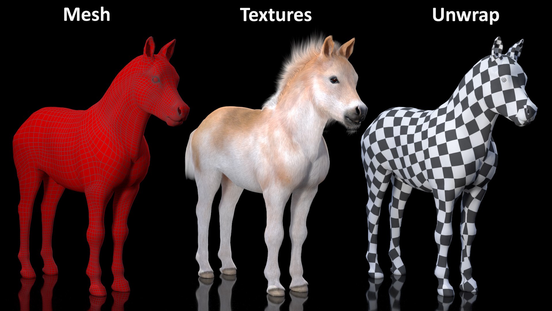 3D Realistic Shetland Pony Fur - TurboSquid 2234471