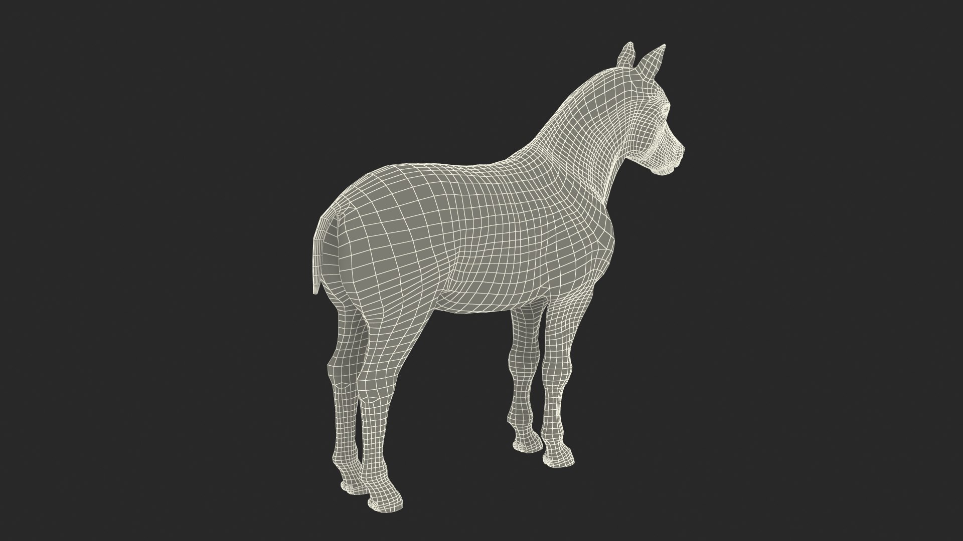 3D Realistic Shetland Pony Fur - TurboSquid 2234471