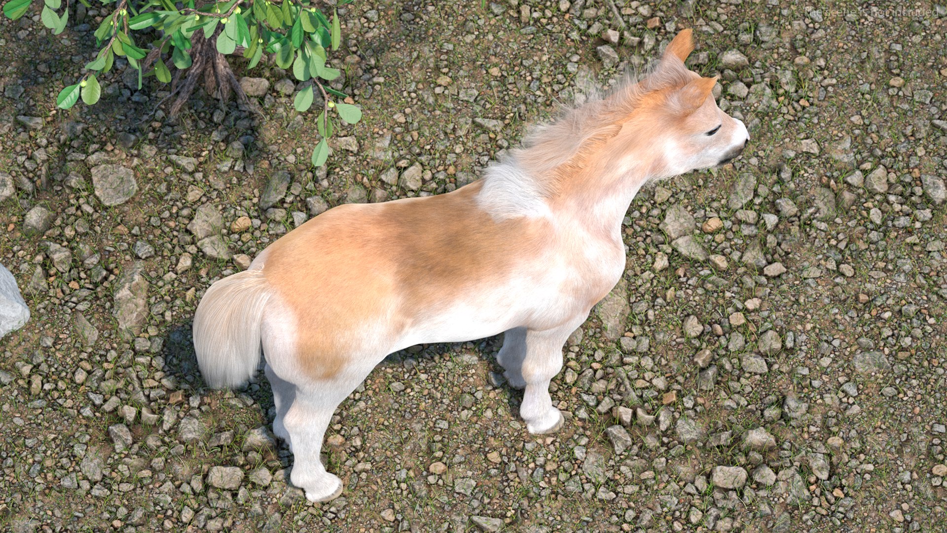 3D Realistic Shetland Pony Fur - TurboSquid 2234471