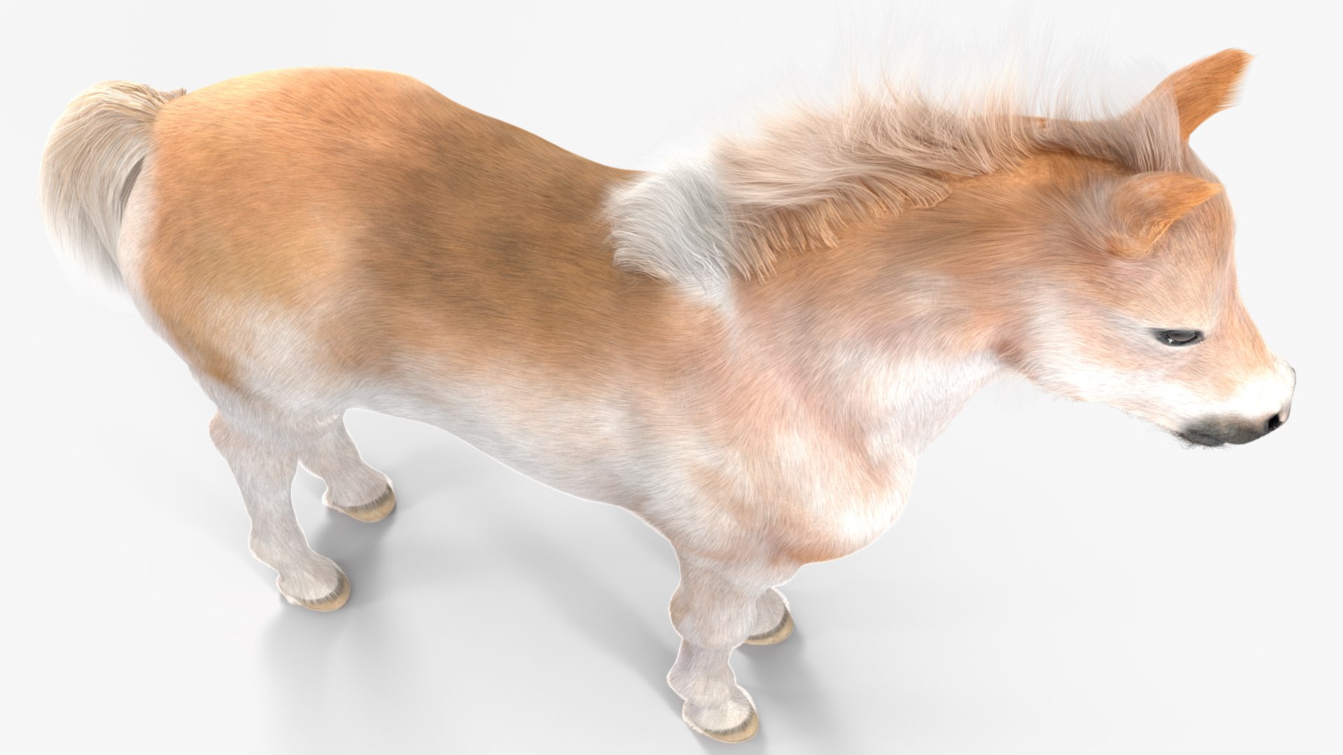 3D Realistic Shetland Pony Fur - TurboSquid 2234471