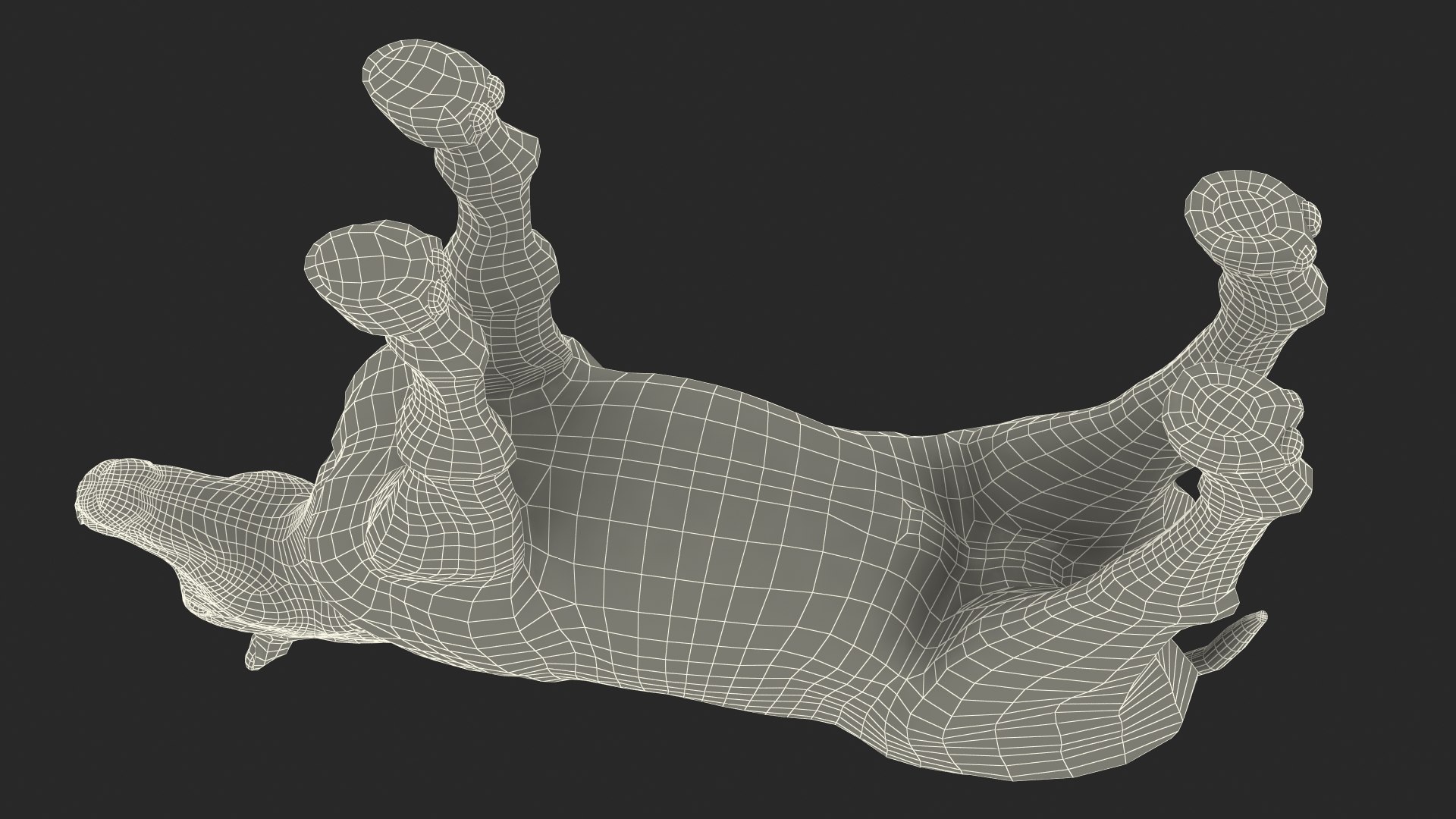 3D Realistic Shetland Pony Fur - TurboSquid 2234471