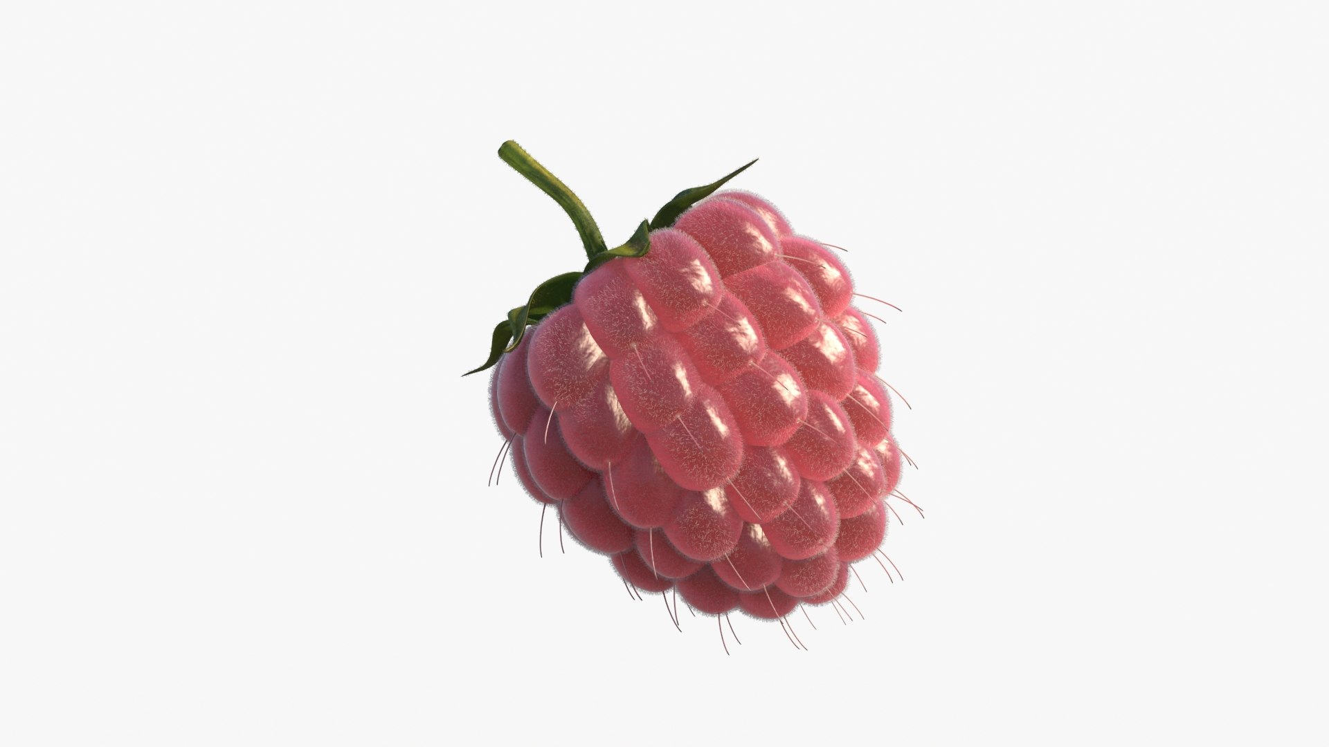 3D Raspberry - TurboSquid 2021705