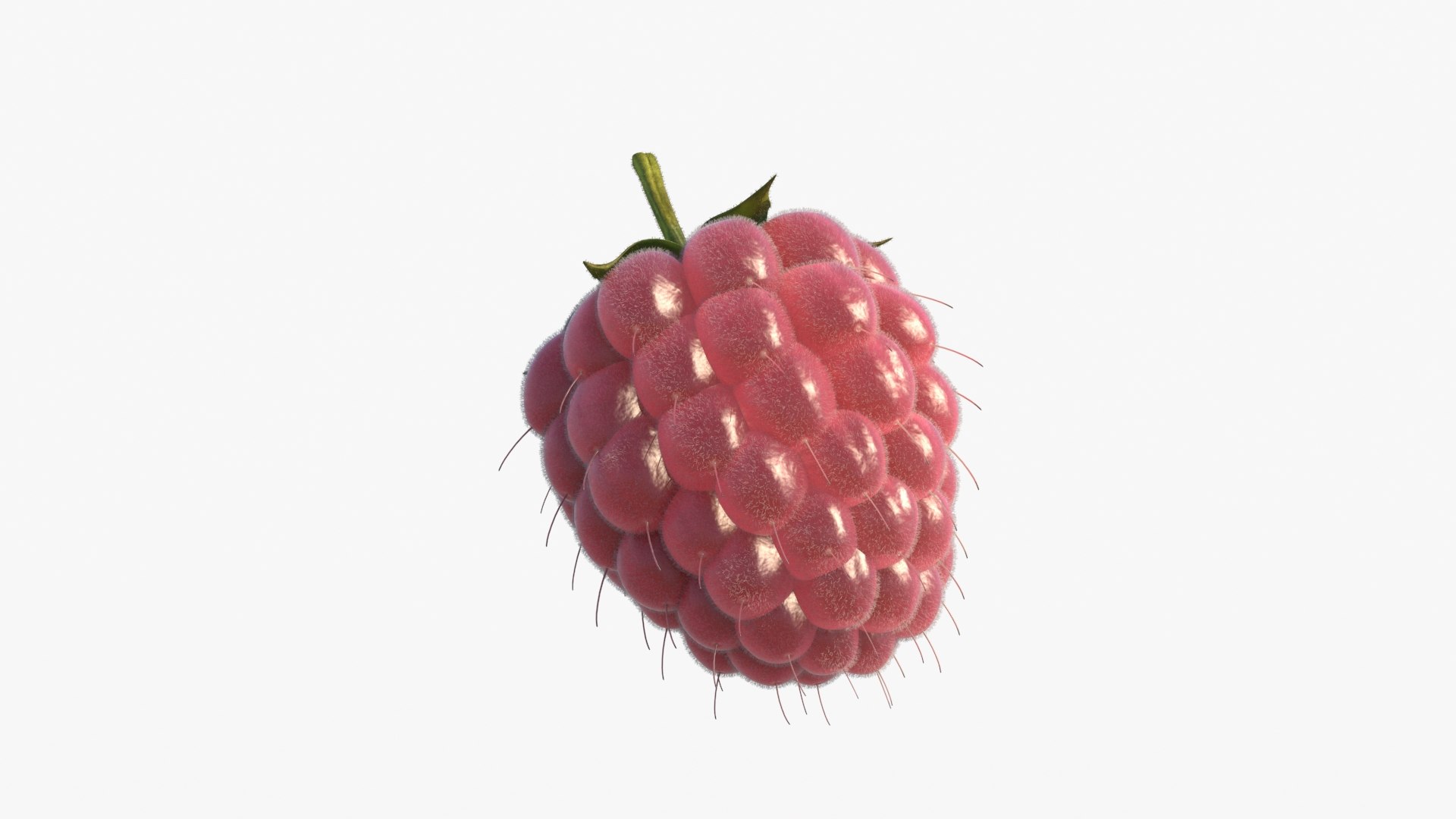 3D Raspberry - TurboSquid 2021705