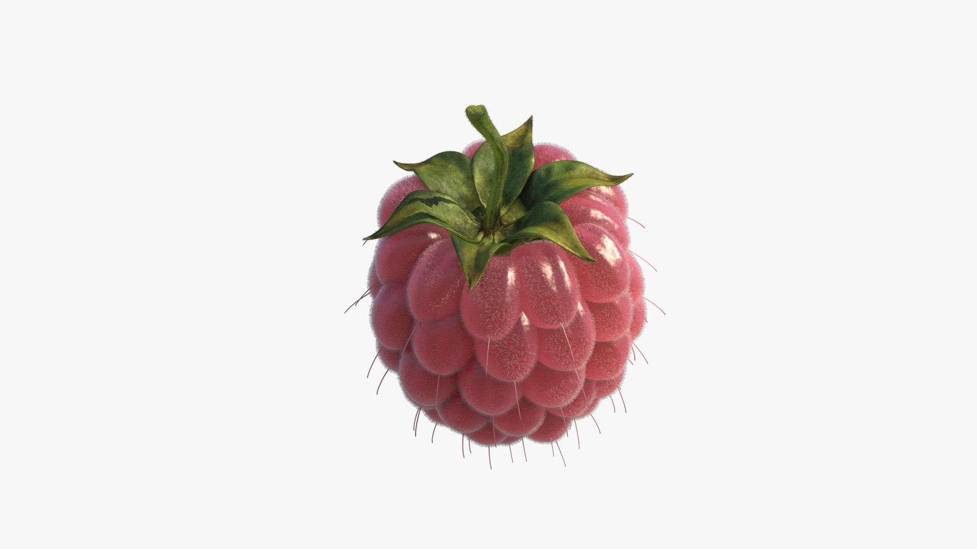 3D Raspberry - TurboSquid 2021705