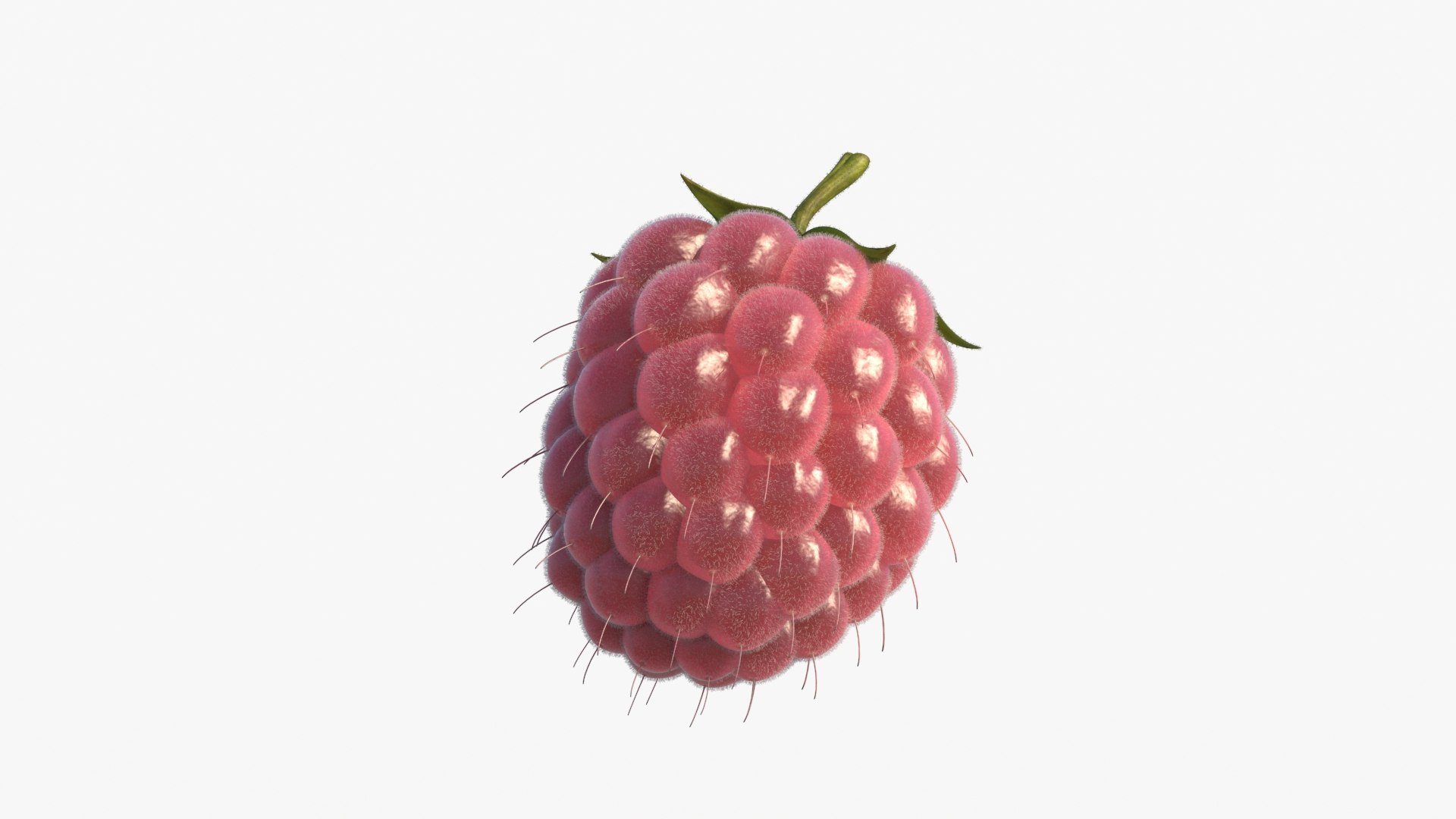 3D Raspberry - TurboSquid 2021705
