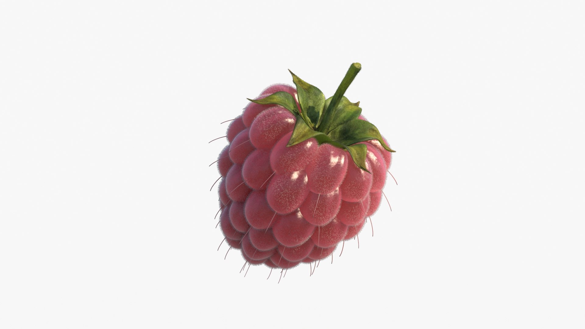 3D Raspberry - TurboSquid 2021705