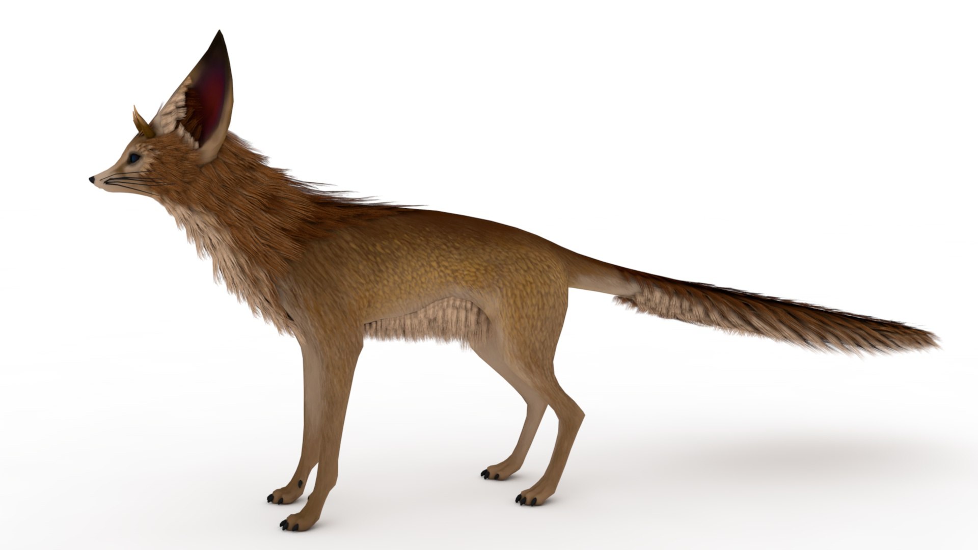 Fox 3D - TurboSquid 1843607