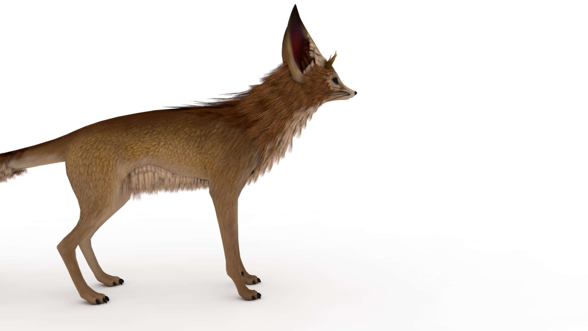 Fox 3D - TurboSquid 1843607