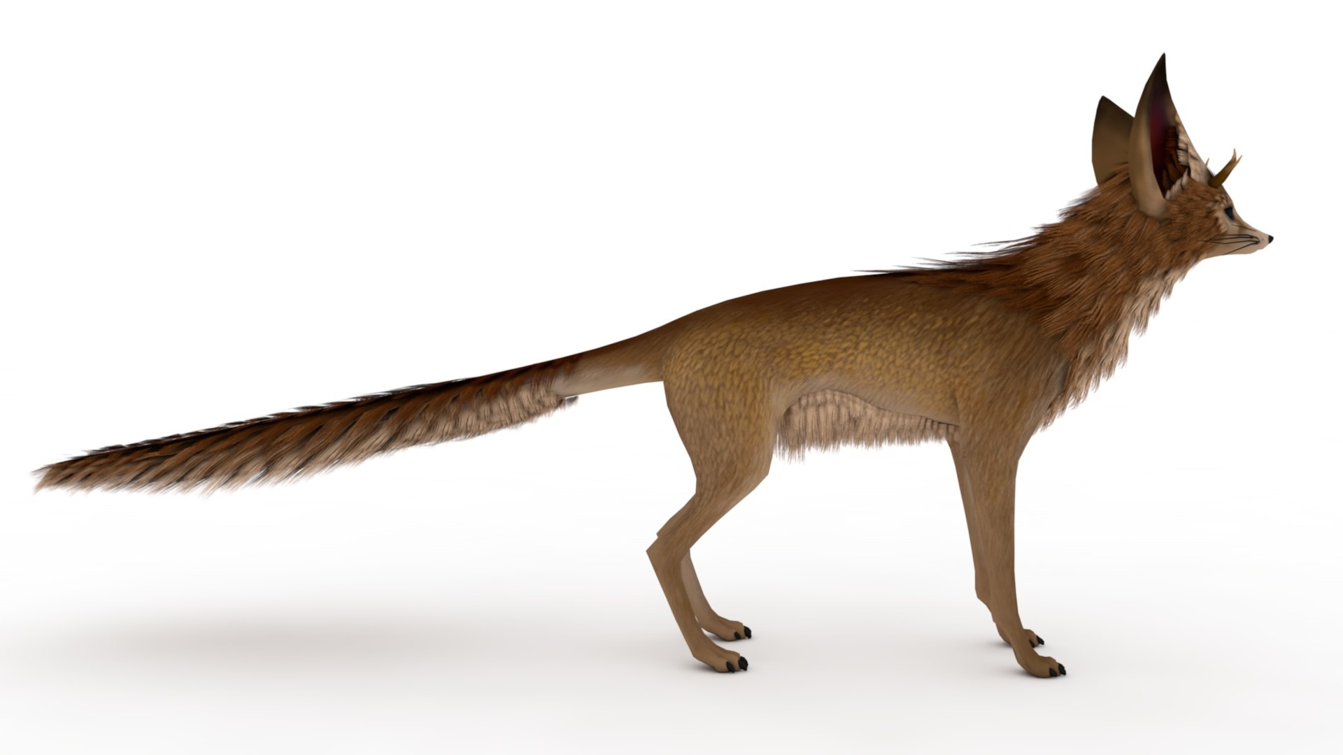 Fox 3D - TurboSquid 1843607