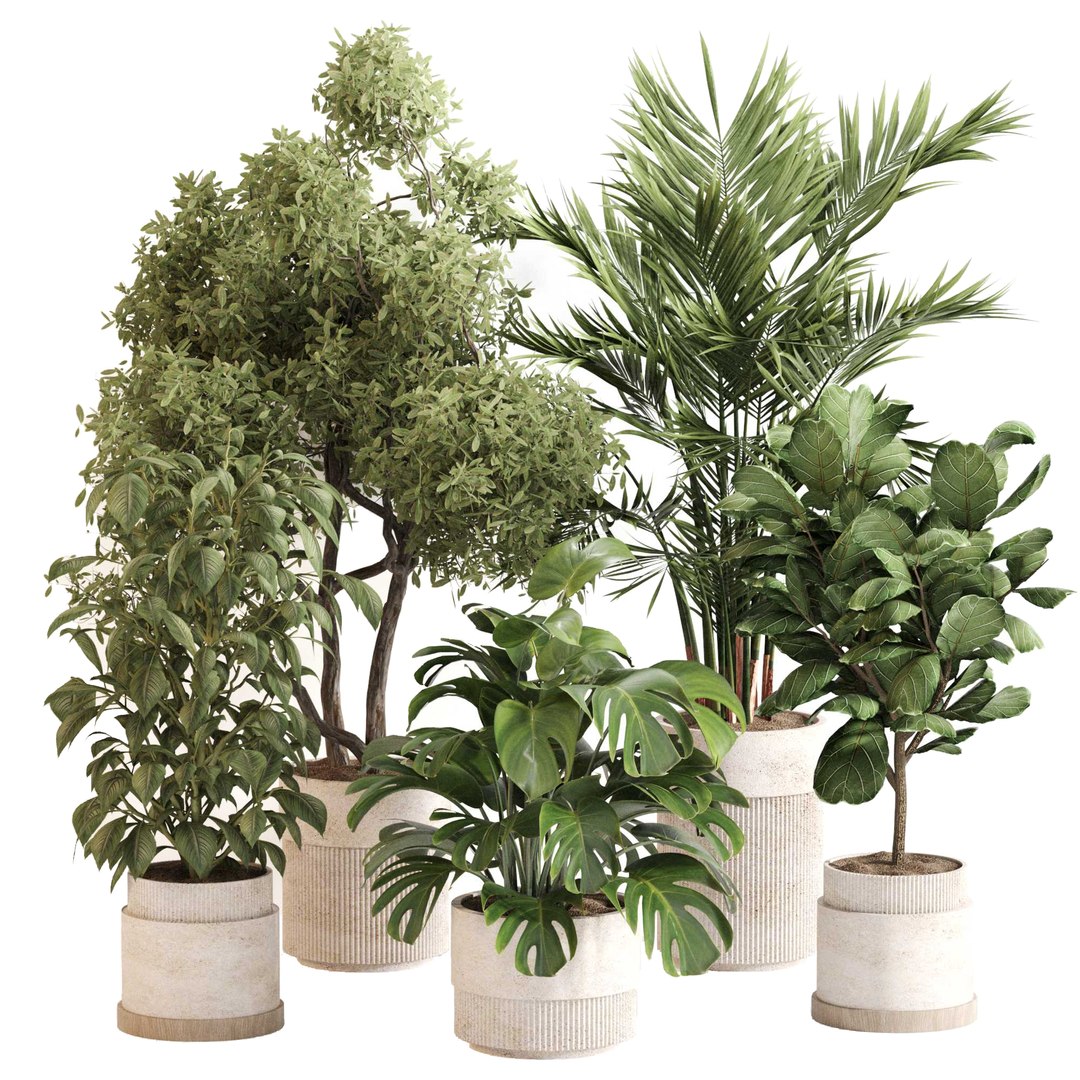 3D Indoor Plant Set 0119 Model - TurboSquid 2292549