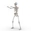 3d human male skeleton rigged