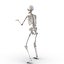 3d human male skeleton rigged