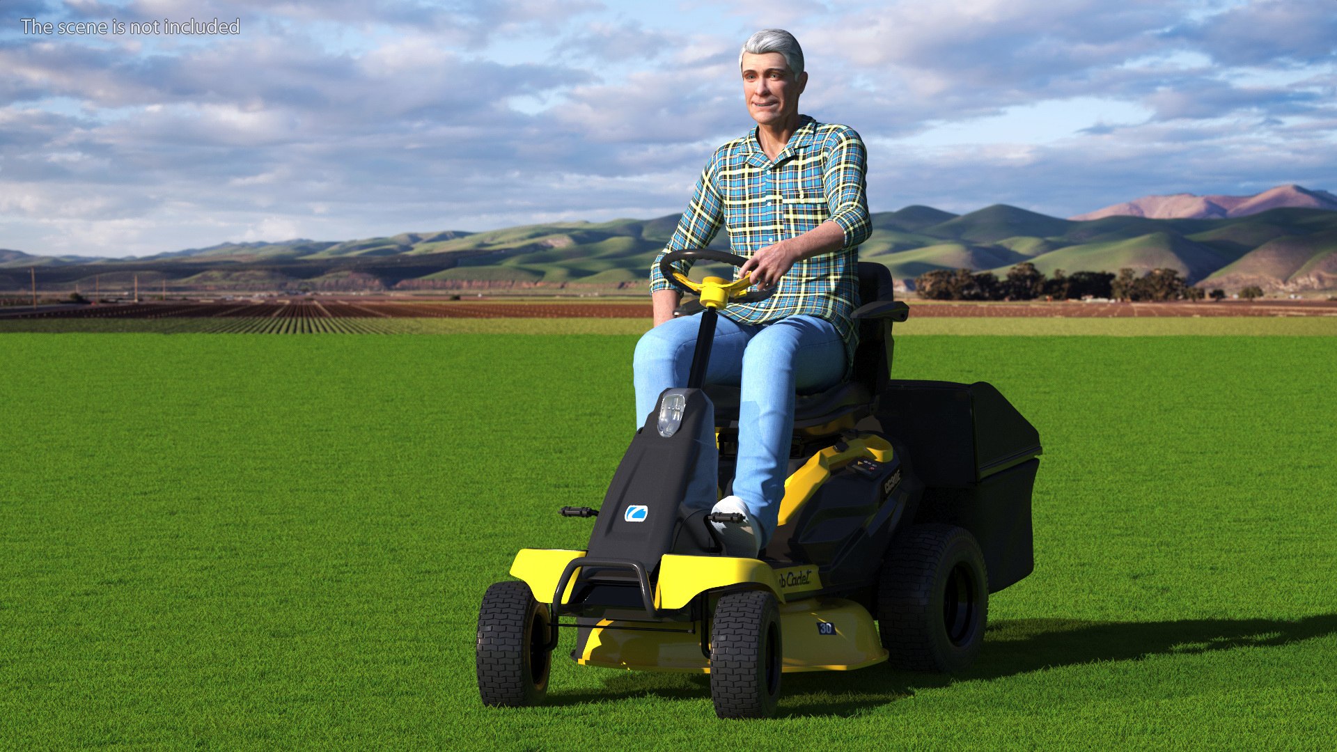 Man on Riding Lawn Mower with Bagger Cub Cadet CC30E Rigged 3D model ...
