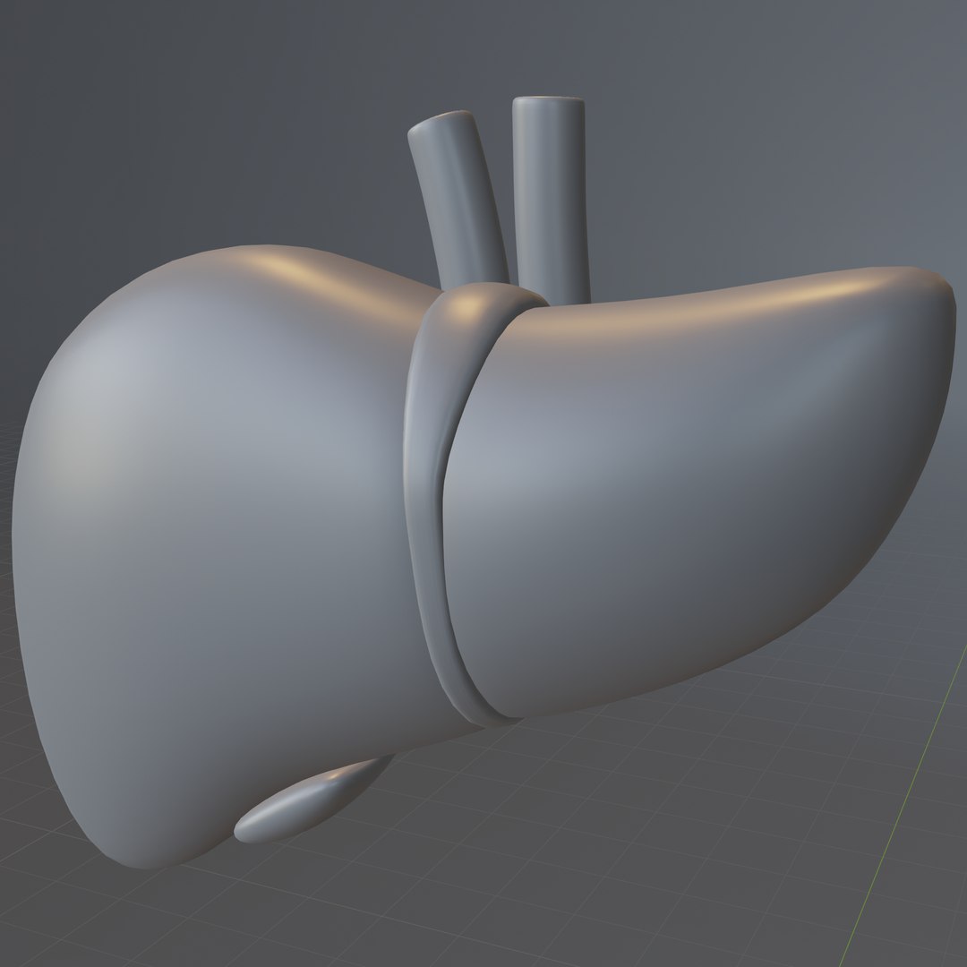 Liver 3D Model - TurboSquid 2134750