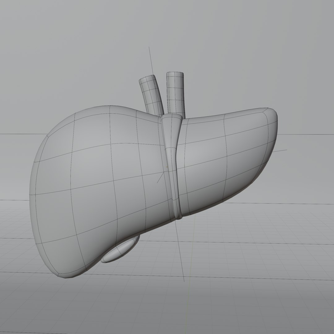 Liver 3D Model - TurboSquid 2134750