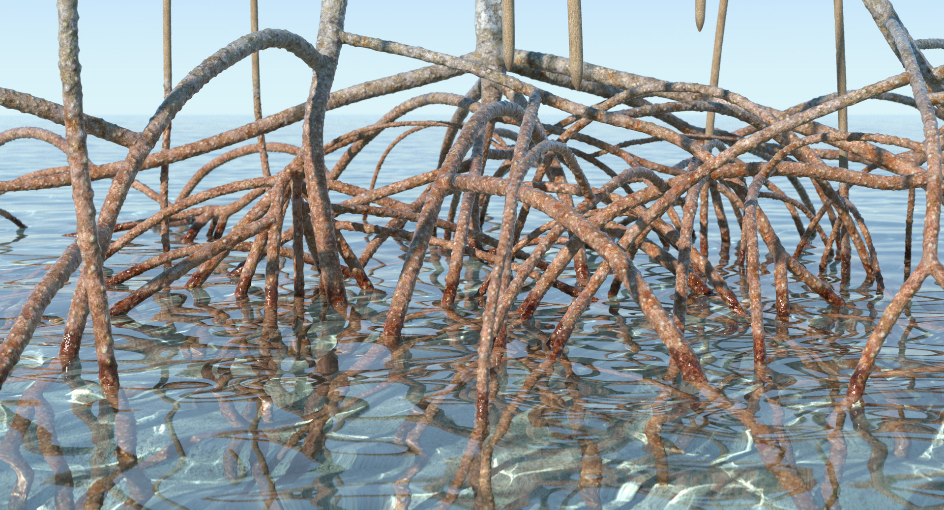 Mangrove trees 3D model - TurboSquid 1369160