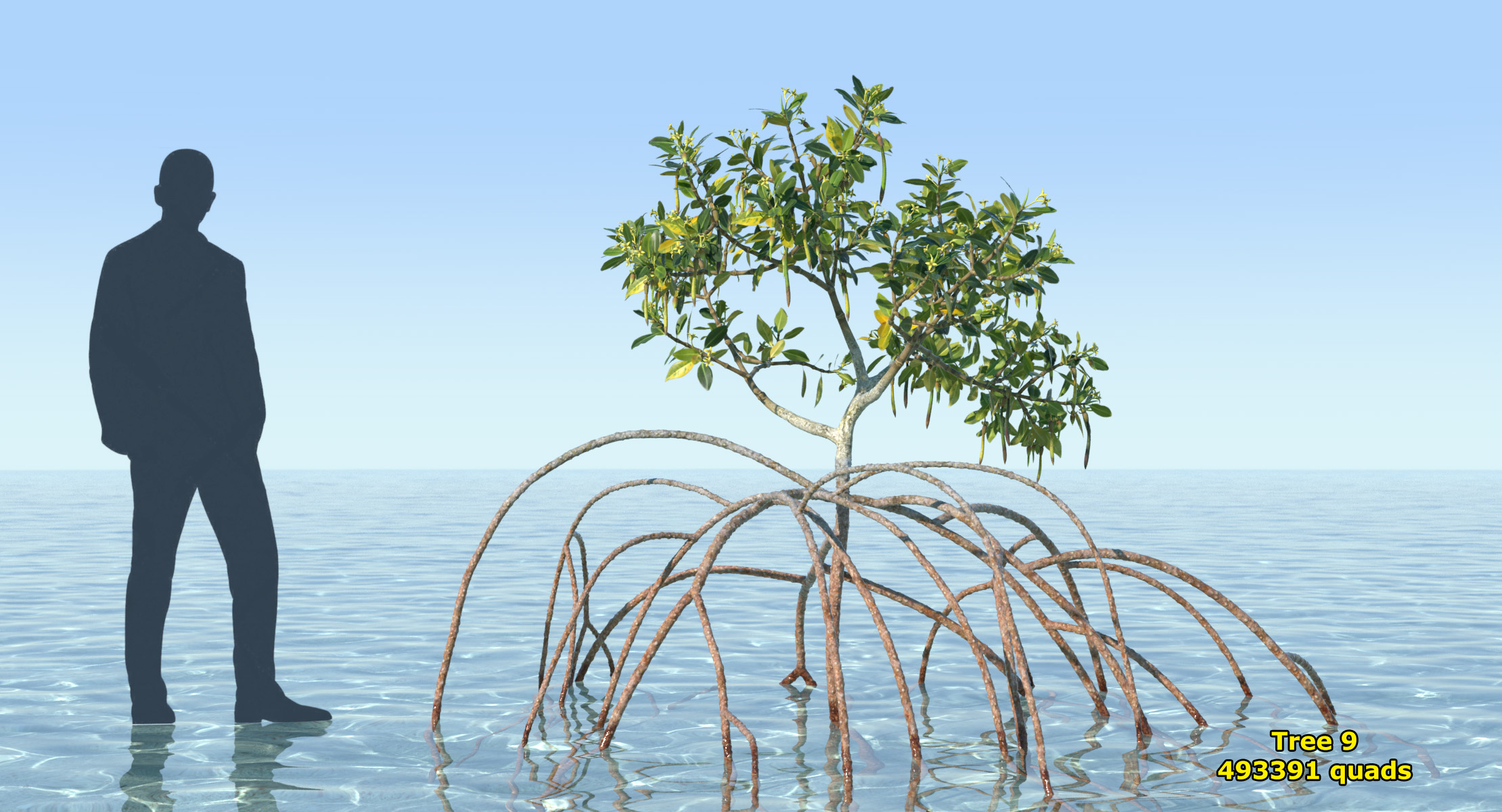 Mangrove trees 3D model - TurboSquid 1369160