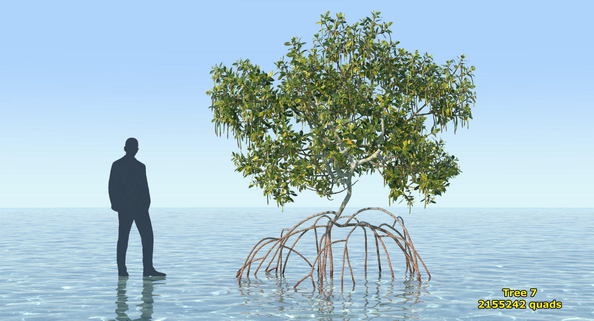 Mangrove trees 3D model - TurboSquid 1369160