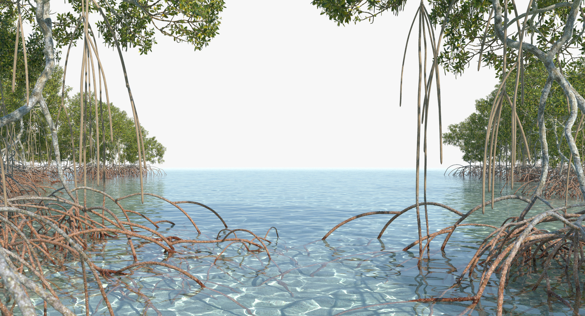 Mangrove trees 3D model - TurboSquid 1369160