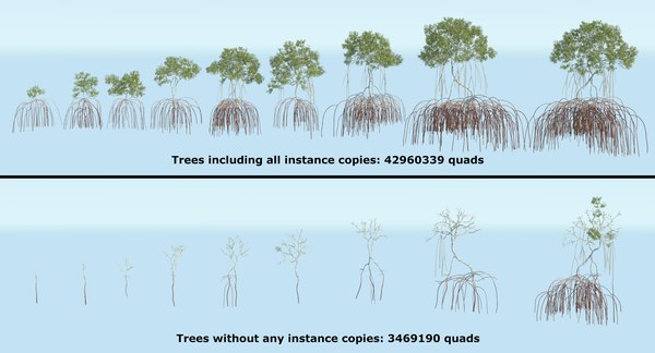 Mangrove trees 3D model - TurboSquid 1369160