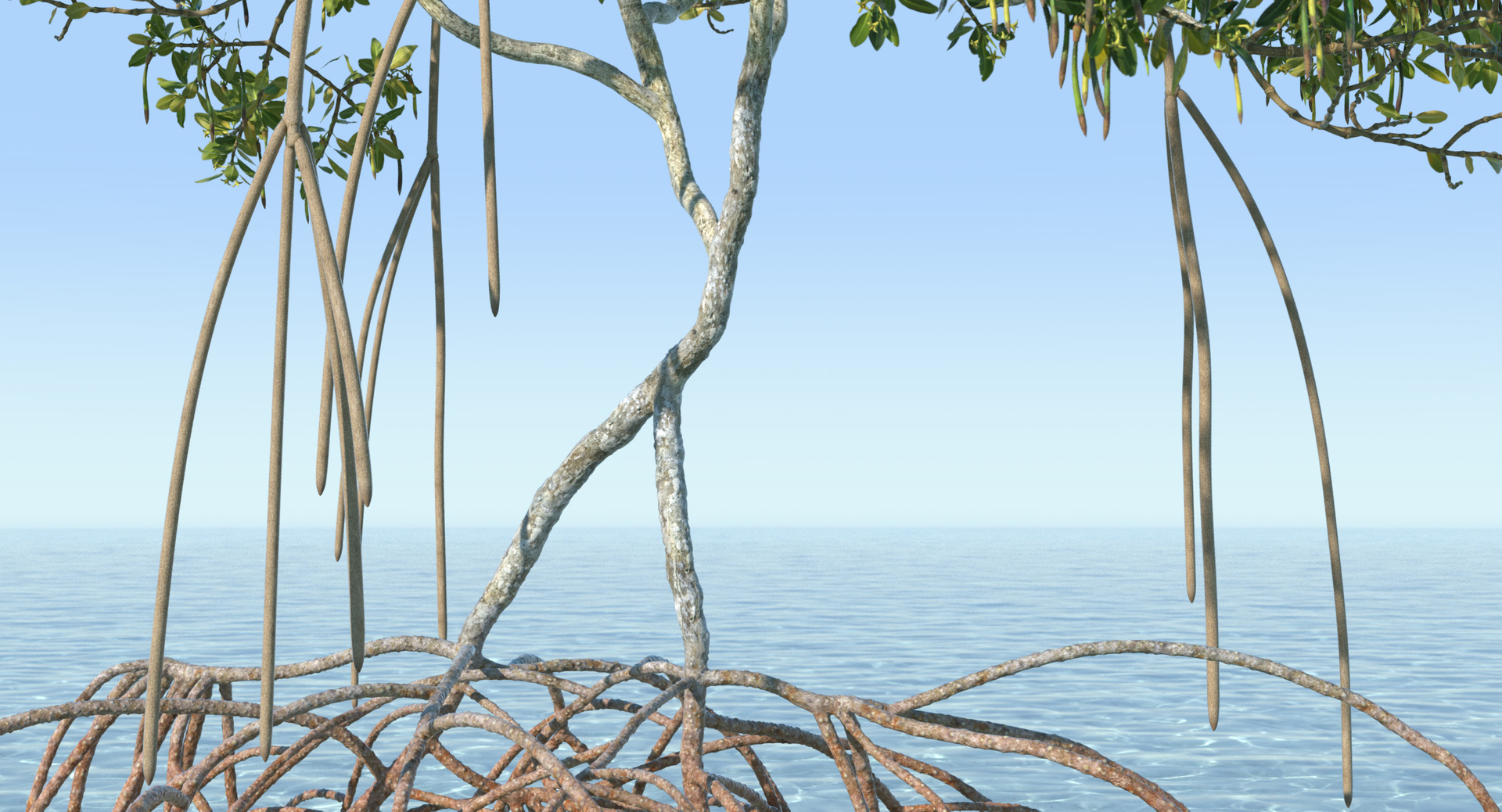 Mangrove trees 3D model - TurboSquid 1369160