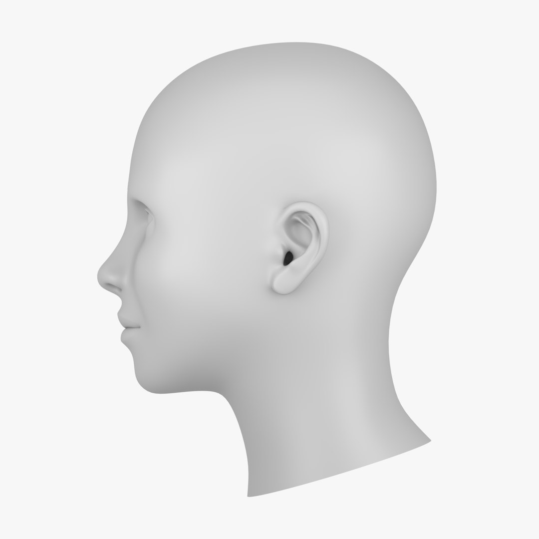 Base Head 3D - TurboSquid 1320983