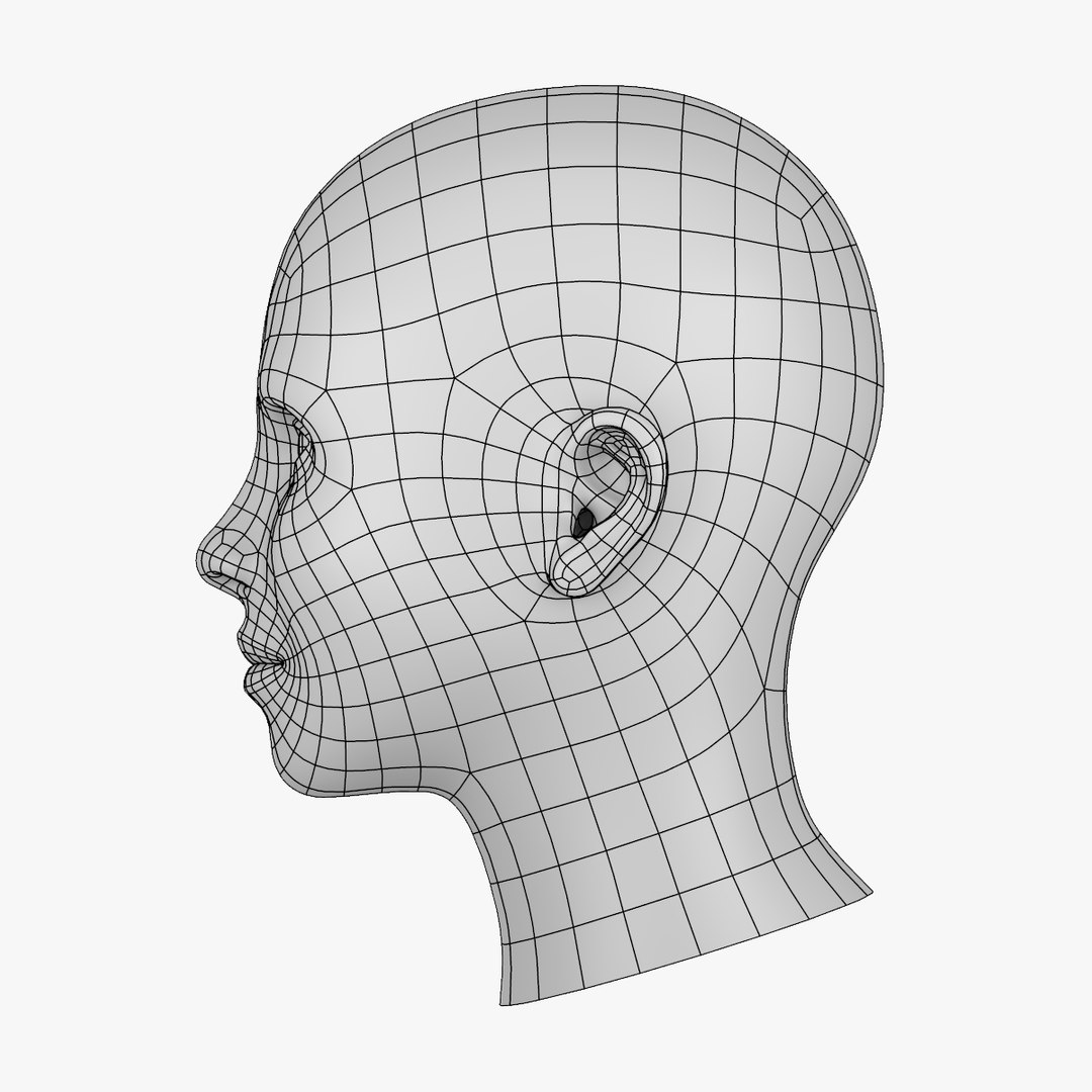 Base Head 3D - TurboSquid 1320983