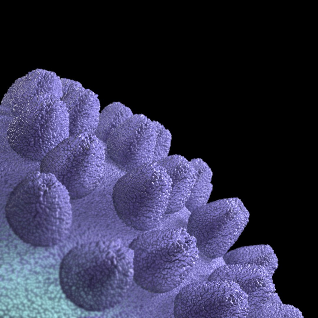 Microbes Bacteria 3D - TurboSquid 1626167