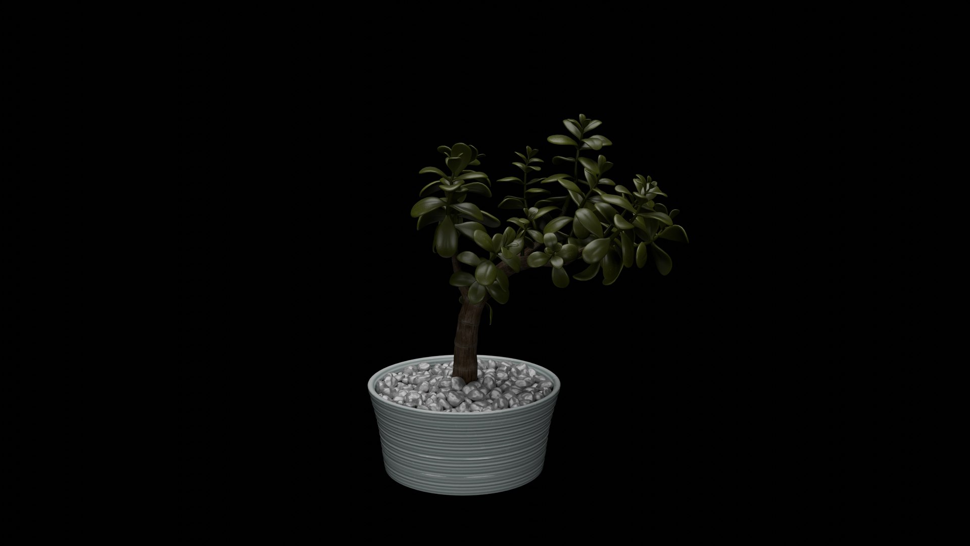 Jade Pot Plant 3D Model - TurboSquid 2378519