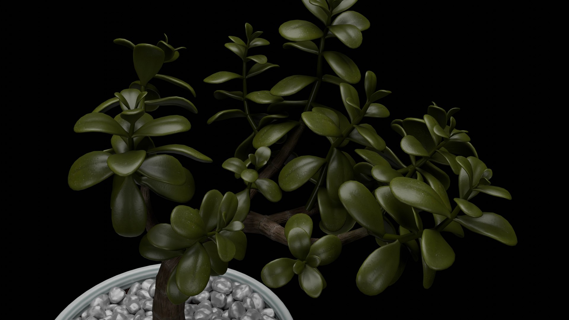 Jade Pot Plant 3D Model - TurboSquid 2378519