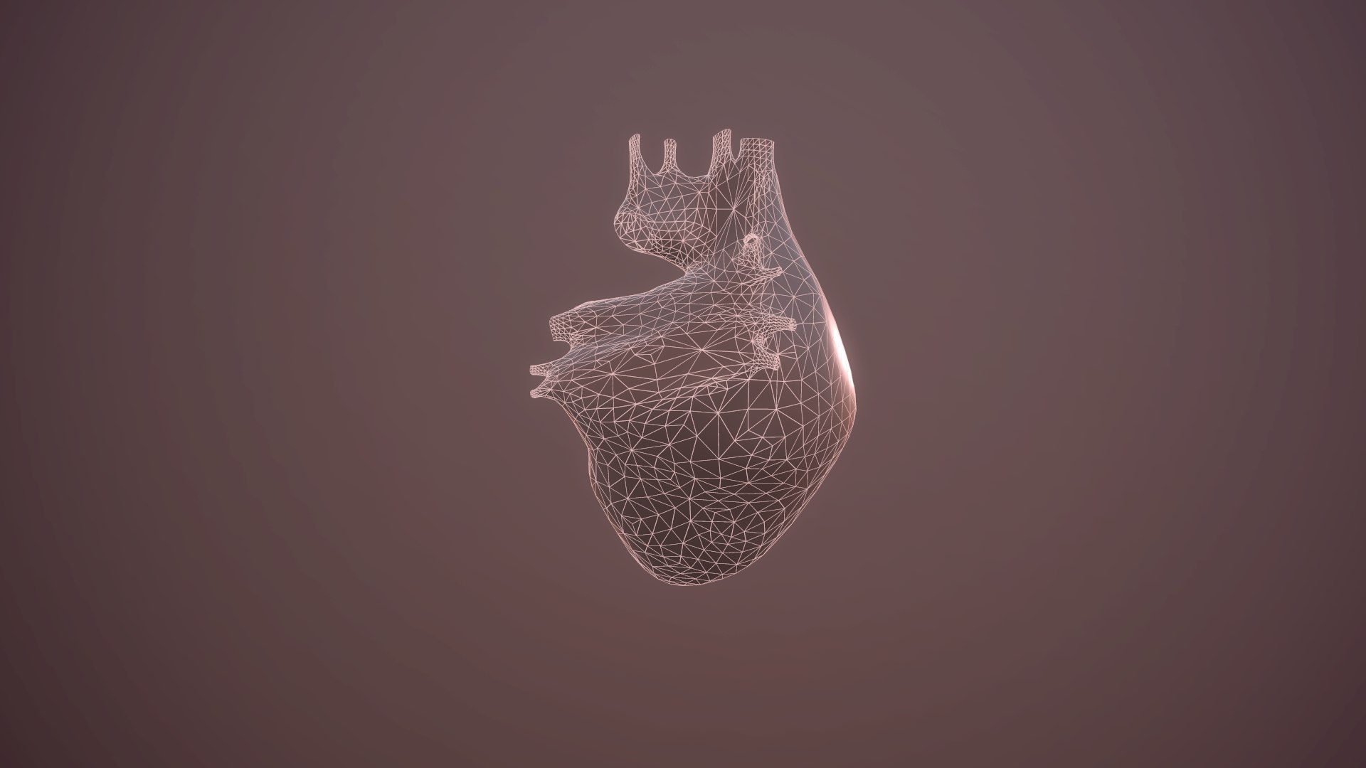 Animation Medical 3D Model - TurboSquid 1467079