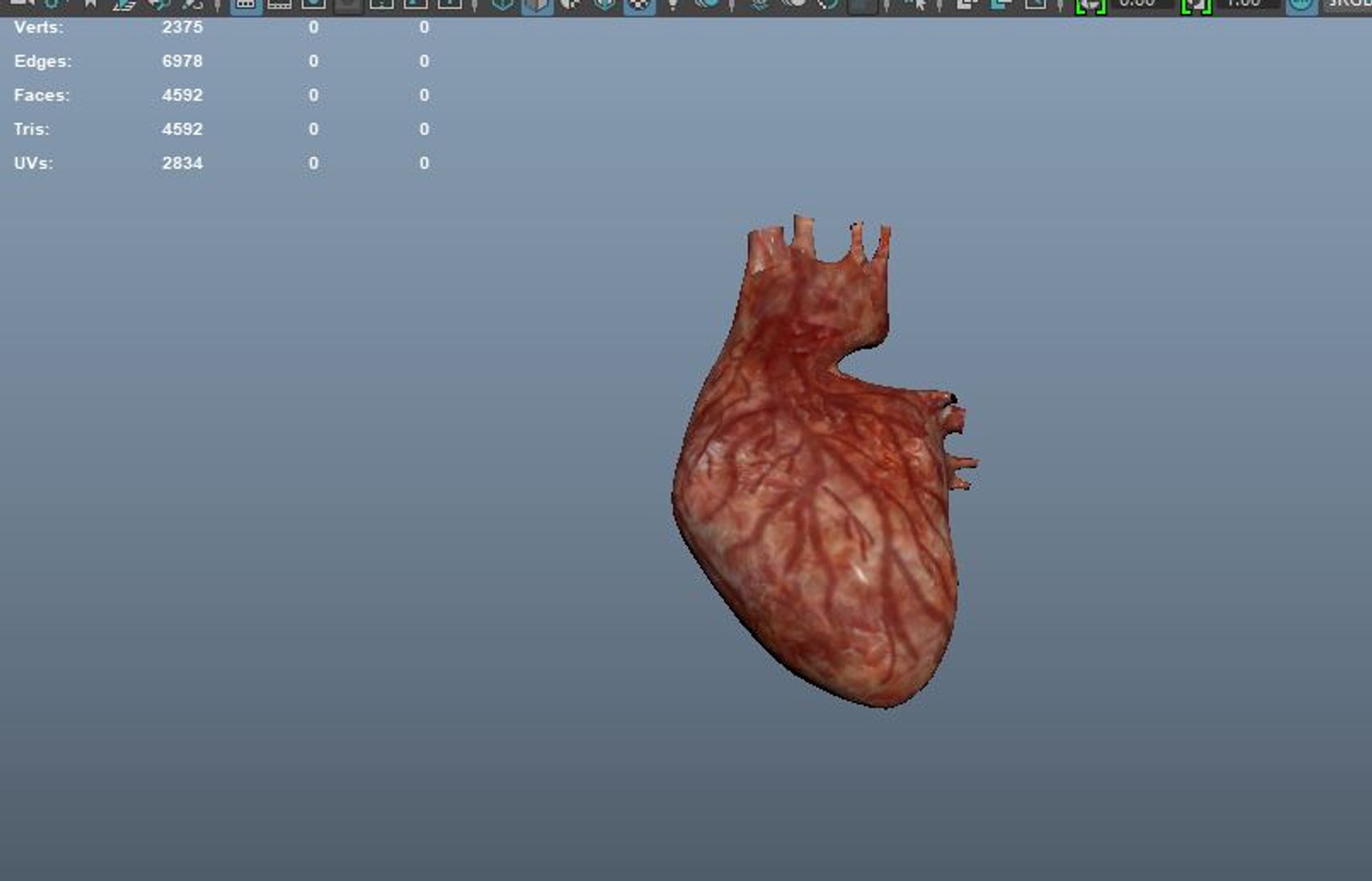 Animation Medical 3D Model - TurboSquid 1467079