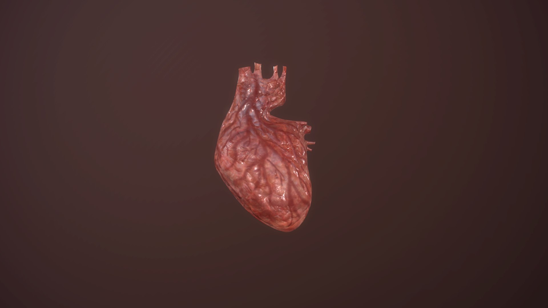 Animation Medical 3D Model - TurboSquid 1467079