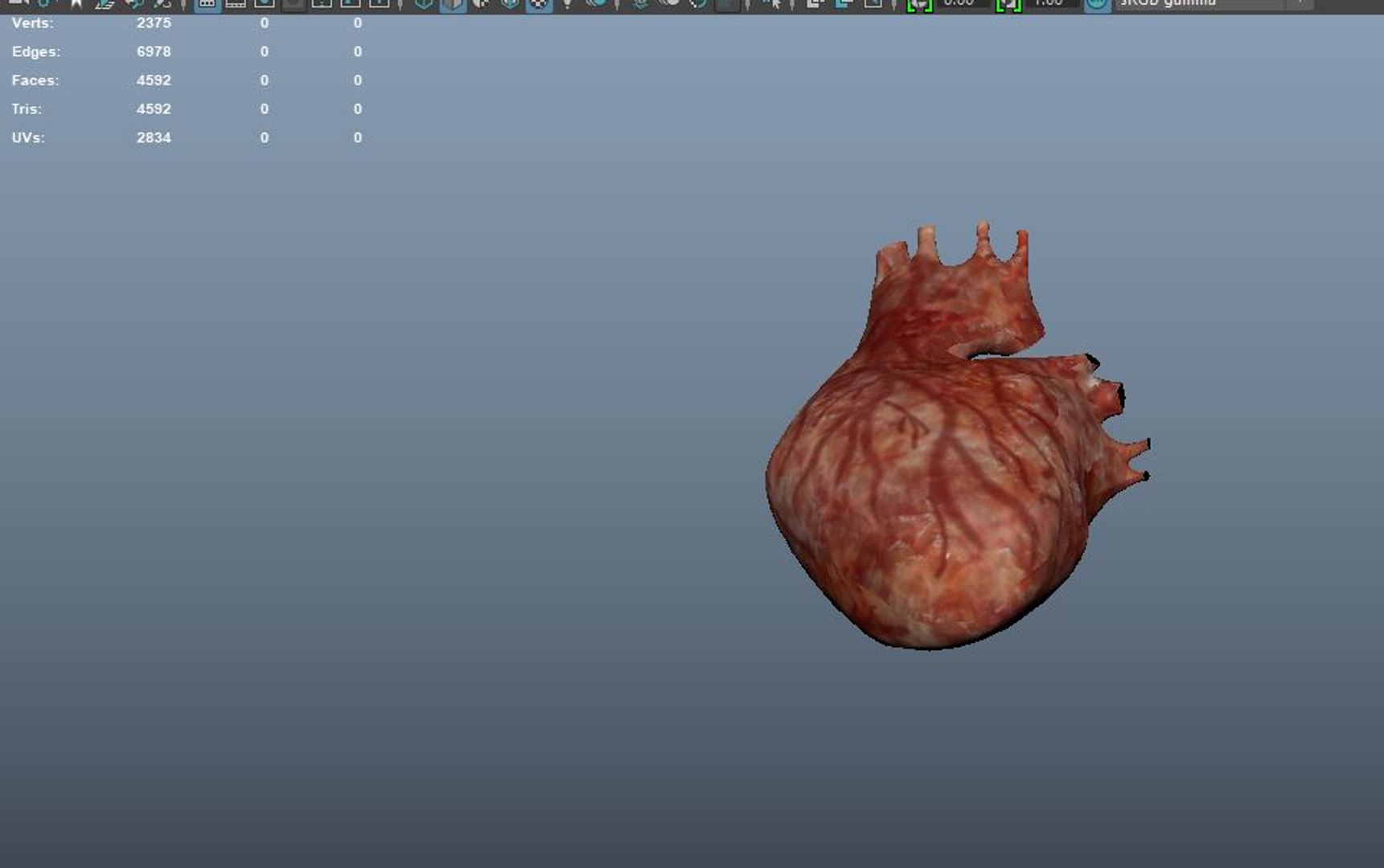 Animation Medical 3D Model - TurboSquid 1467079