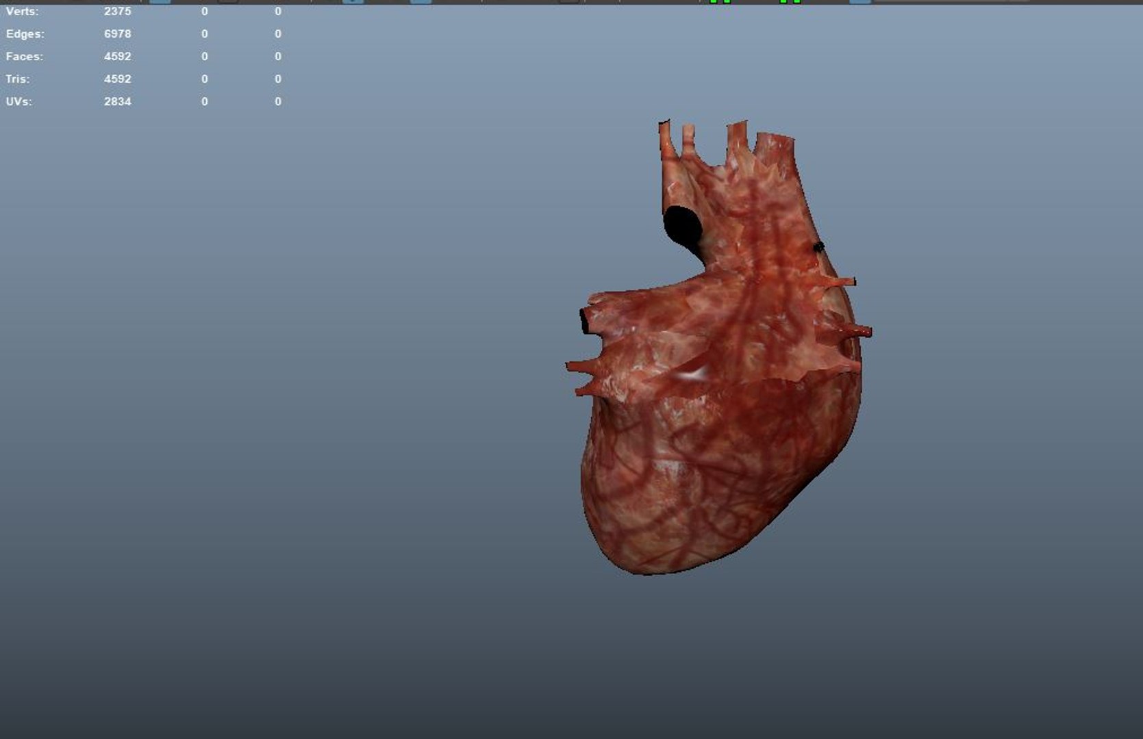 Animation Medical 3D Model - TurboSquid 1467079