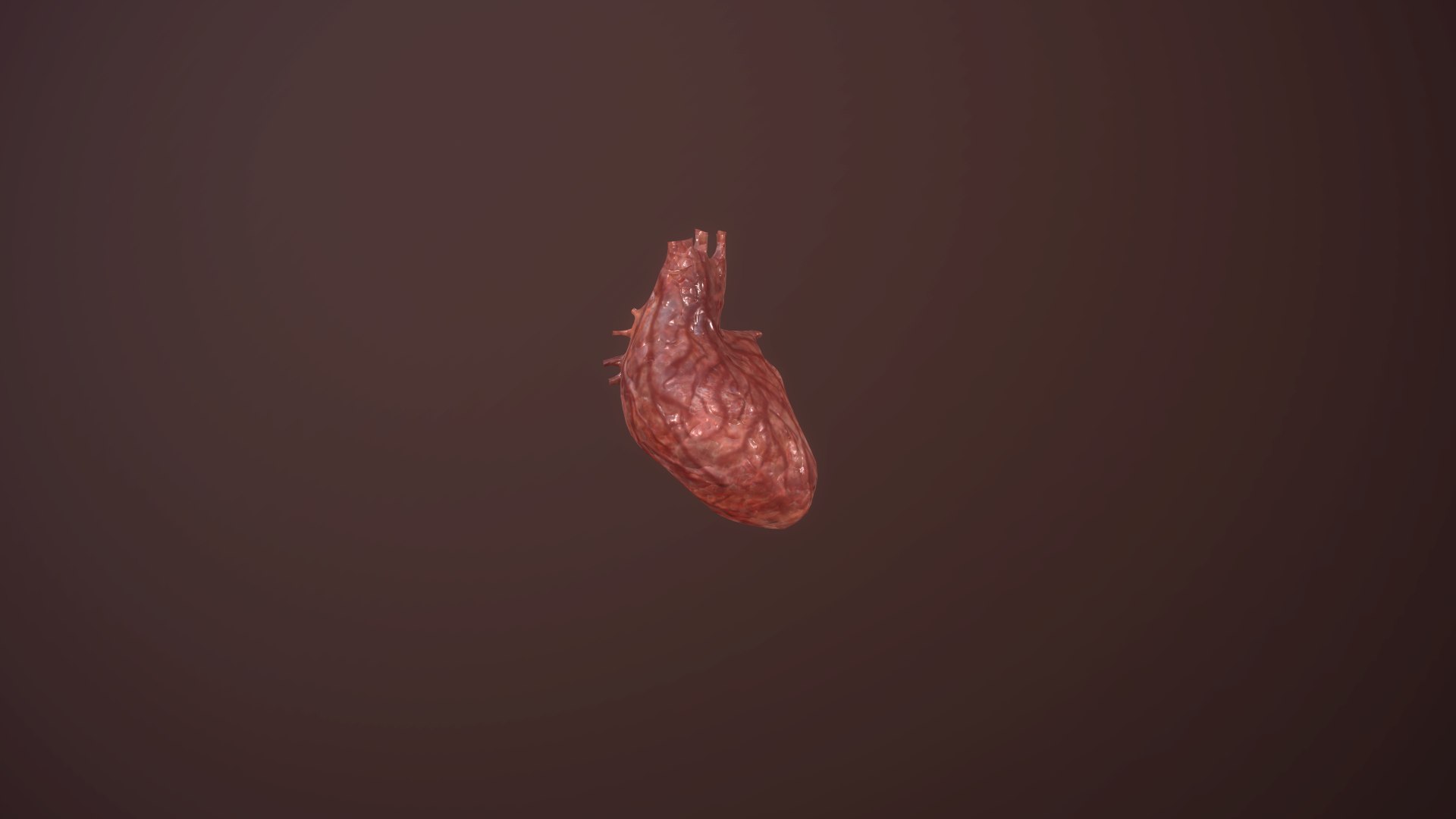 Animation Medical 3D Model - TurboSquid 1467079