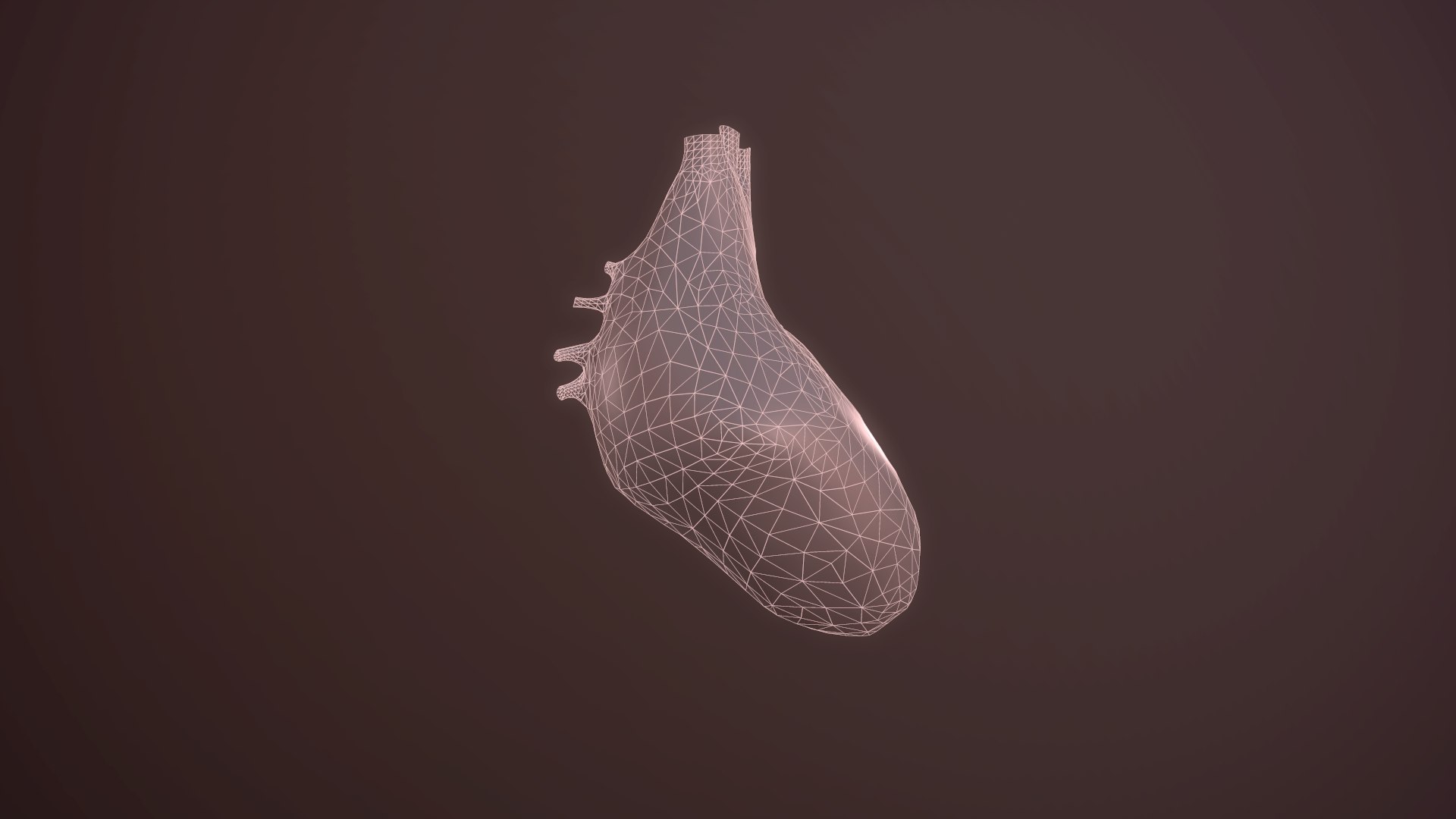 Animation Medical 3D Model - TurboSquid 1467079