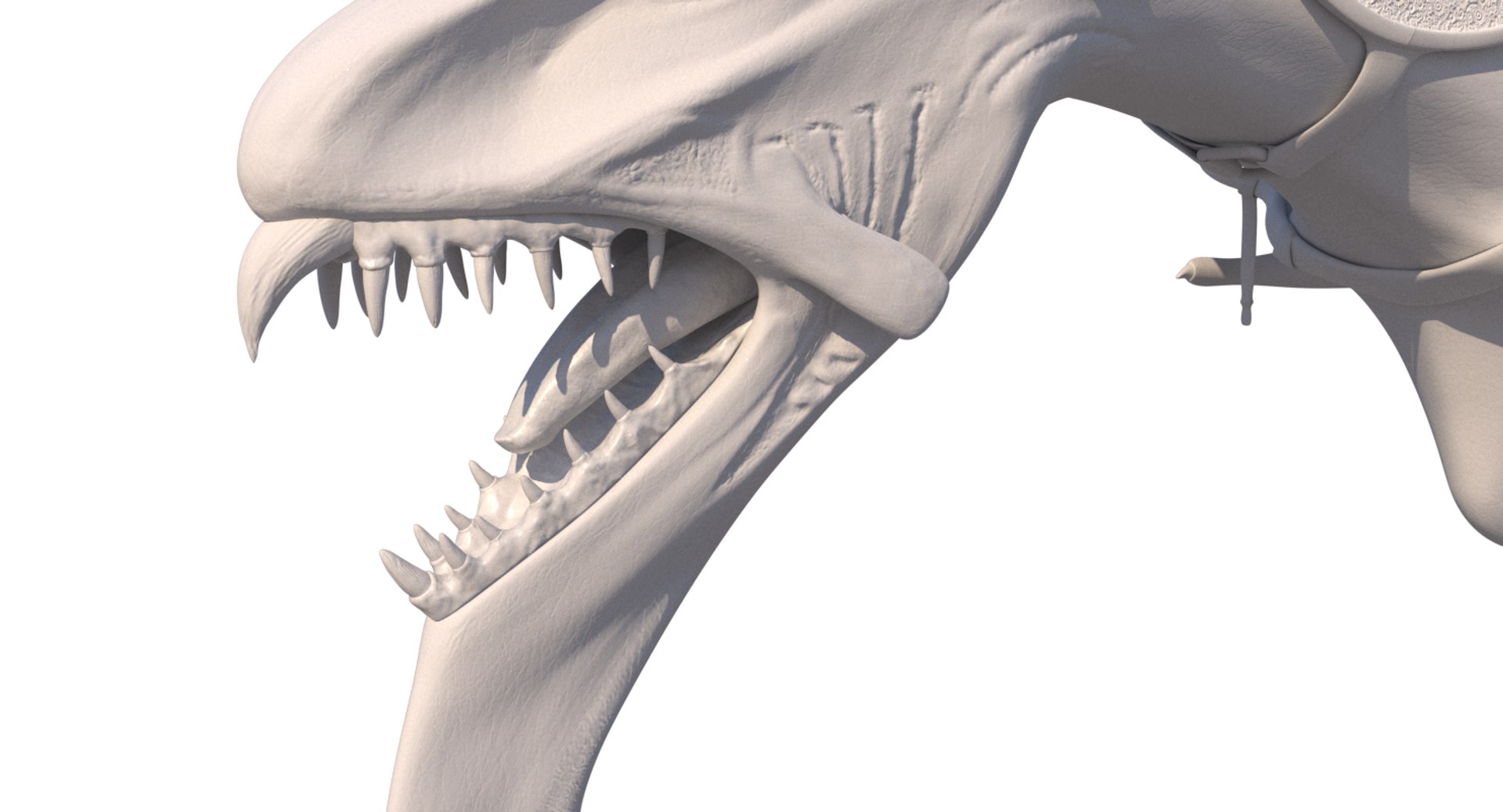 3D Avatar Mountain Banshees Ikran | 1146302 | TurboSquid