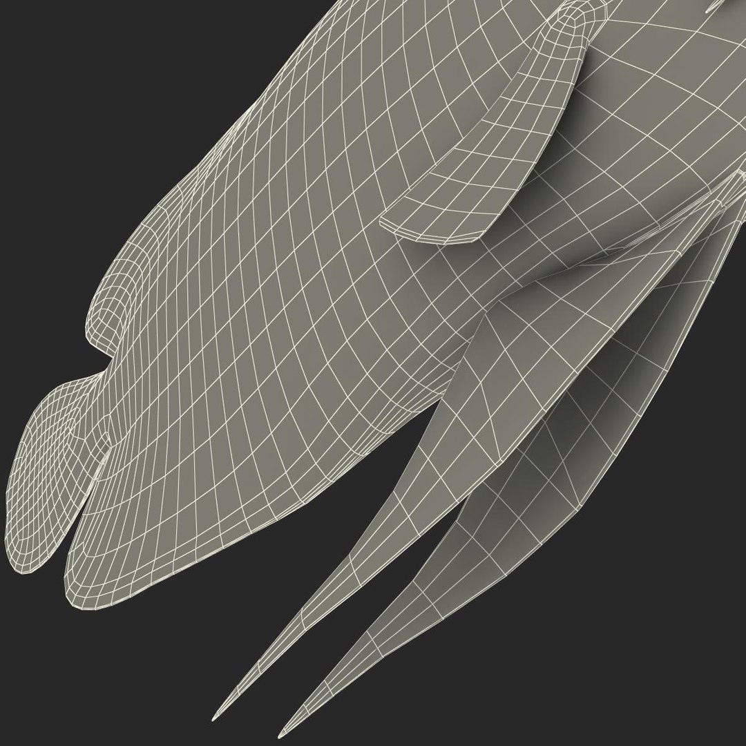 Tropical Fish Obj