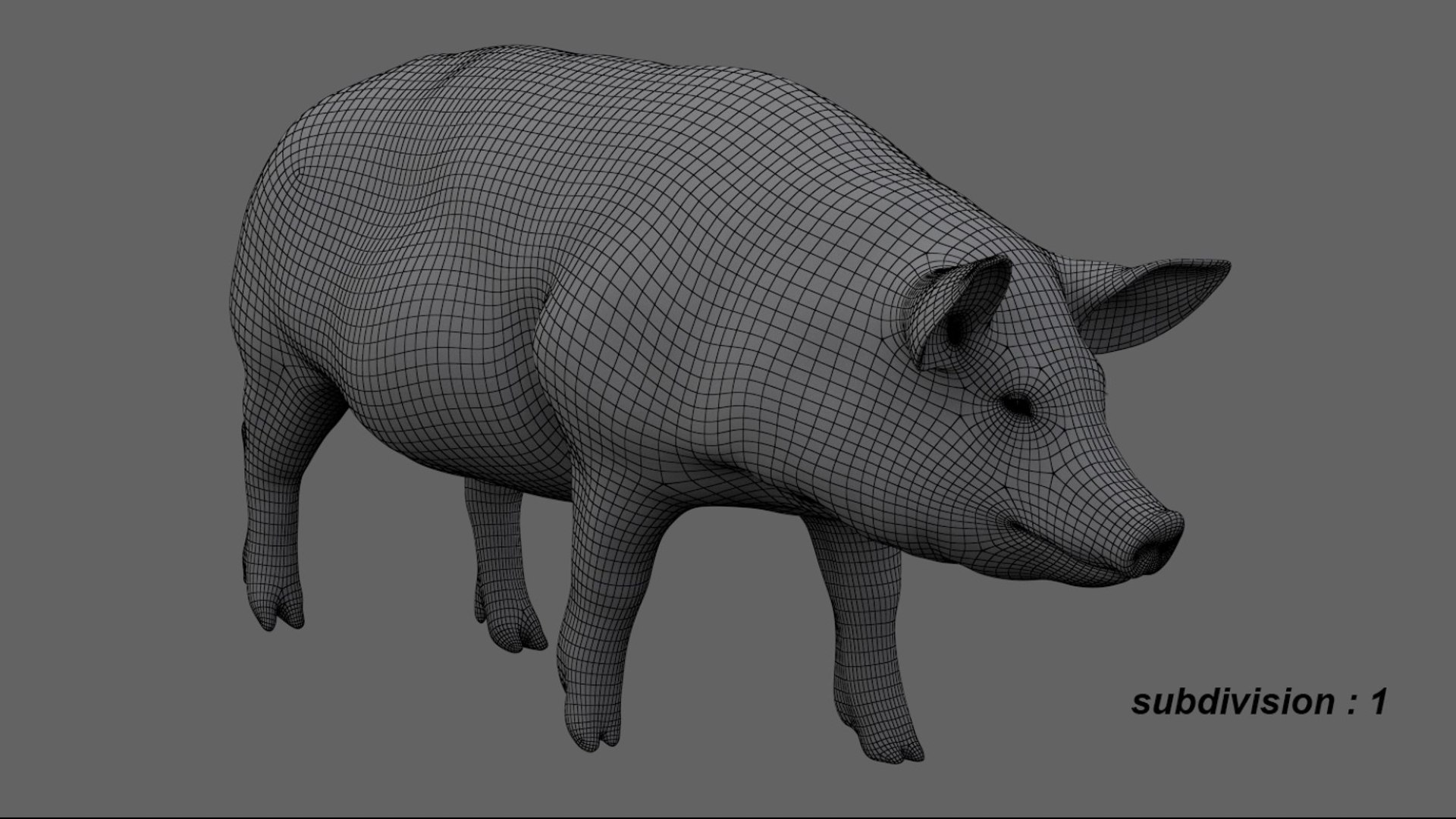 Pig Anatomy 3D 3D Model - TurboSquid 2442860