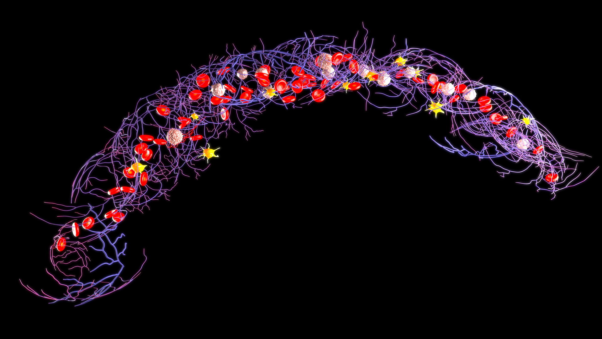 3D Model Blood Clot Fibrin - TurboSquid 2308663