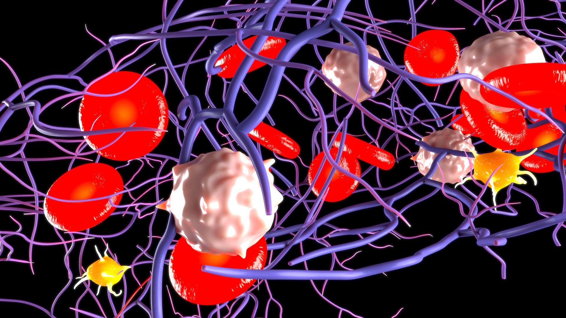 3D Model Blood Clot Fibrin - TurboSquid 2308663