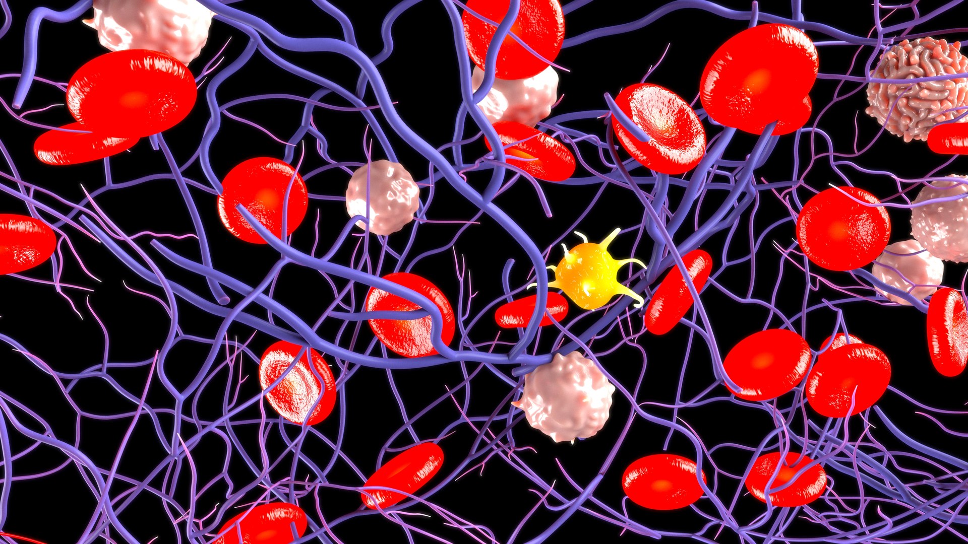 3D Model Blood Clot Fibrin - TurboSquid 2308663