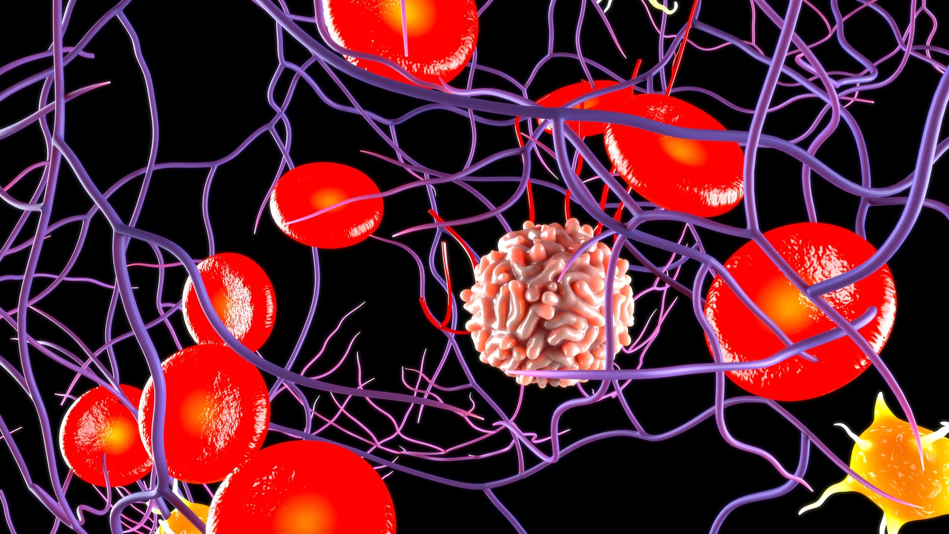3D Model Blood Clot Fibrin - TurboSquid 2308663