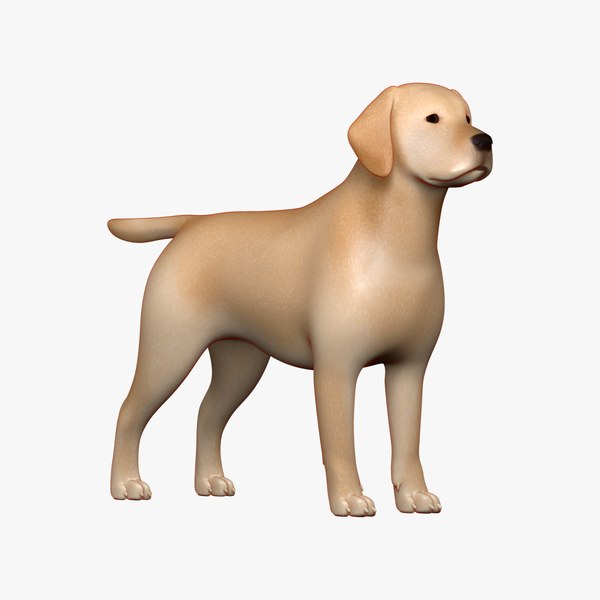 3D model labrador dog - TurboSquid 1331800