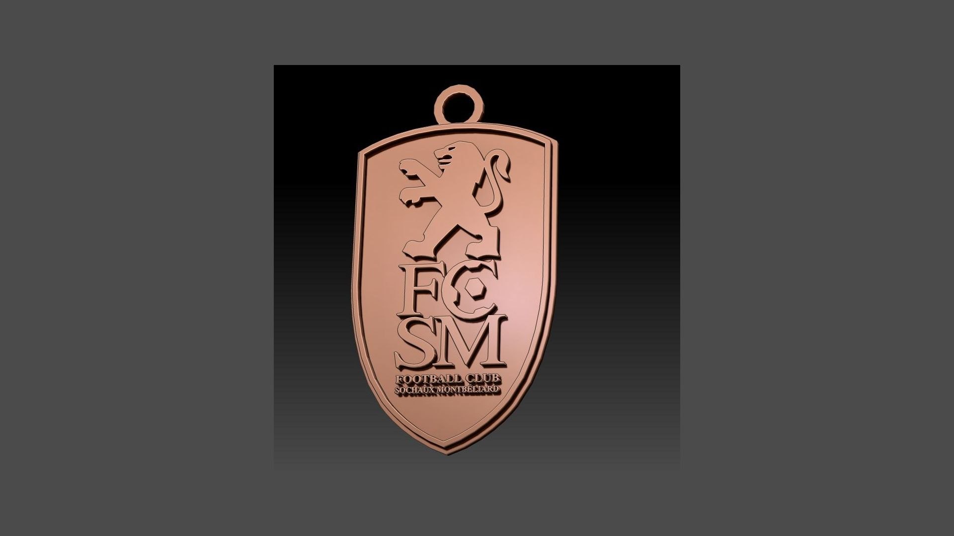 Sochaux Logo Team Printable And Renderable Keychan 3D Model ...