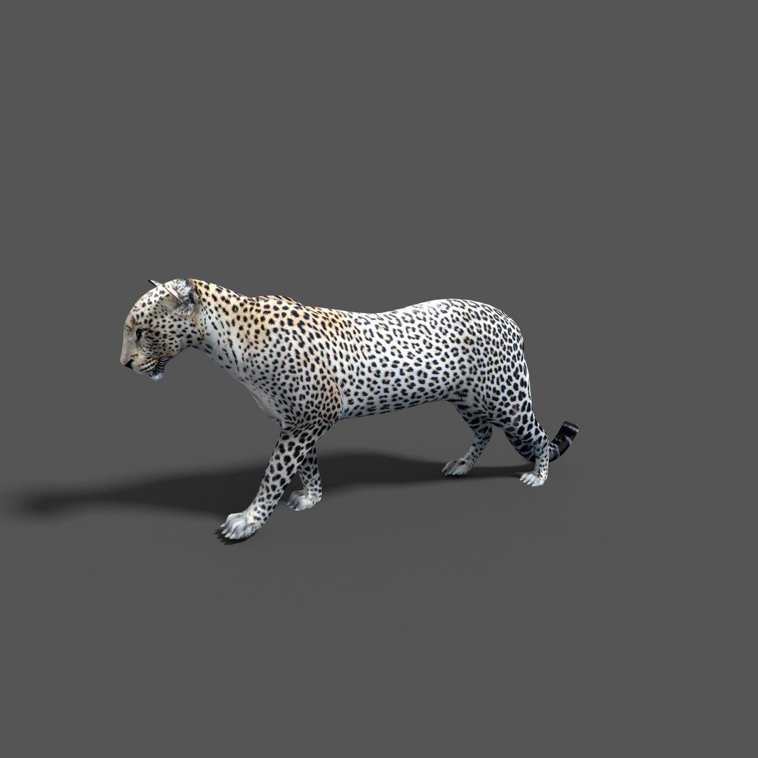 Leopard 3d Blend