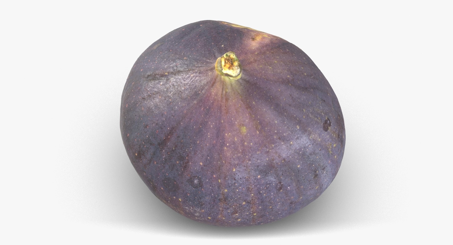 Common Fig Model - TurboSquid 1199501