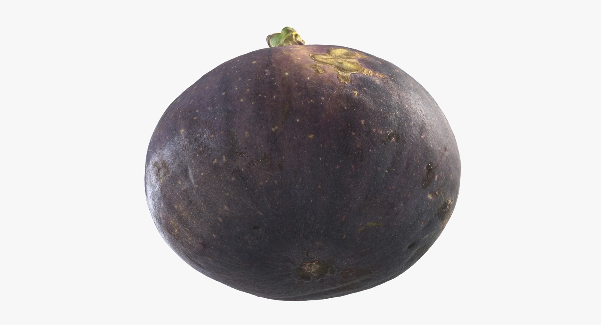 Common Fig Model - TurboSquid 1199501