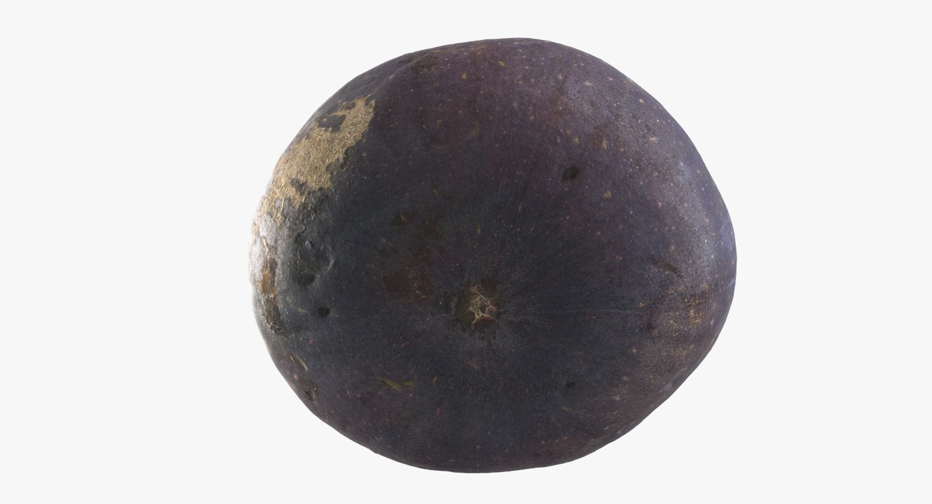 Common Fig Model - TurboSquid 1199501